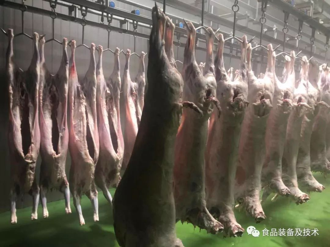 News - Meat processing plant design